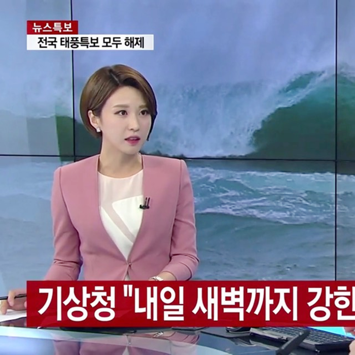 안귀령 아나운서 나이 프로필 더불어민주당 선대위 대변인 뉴스위키