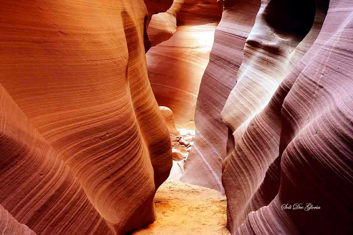 엔텔롭캐년의 비극