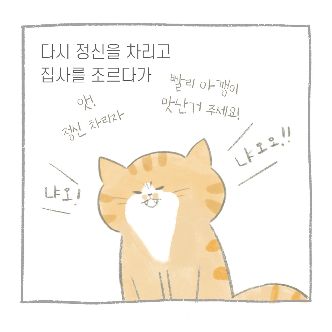 입맛 다시는 고양이 만날툰