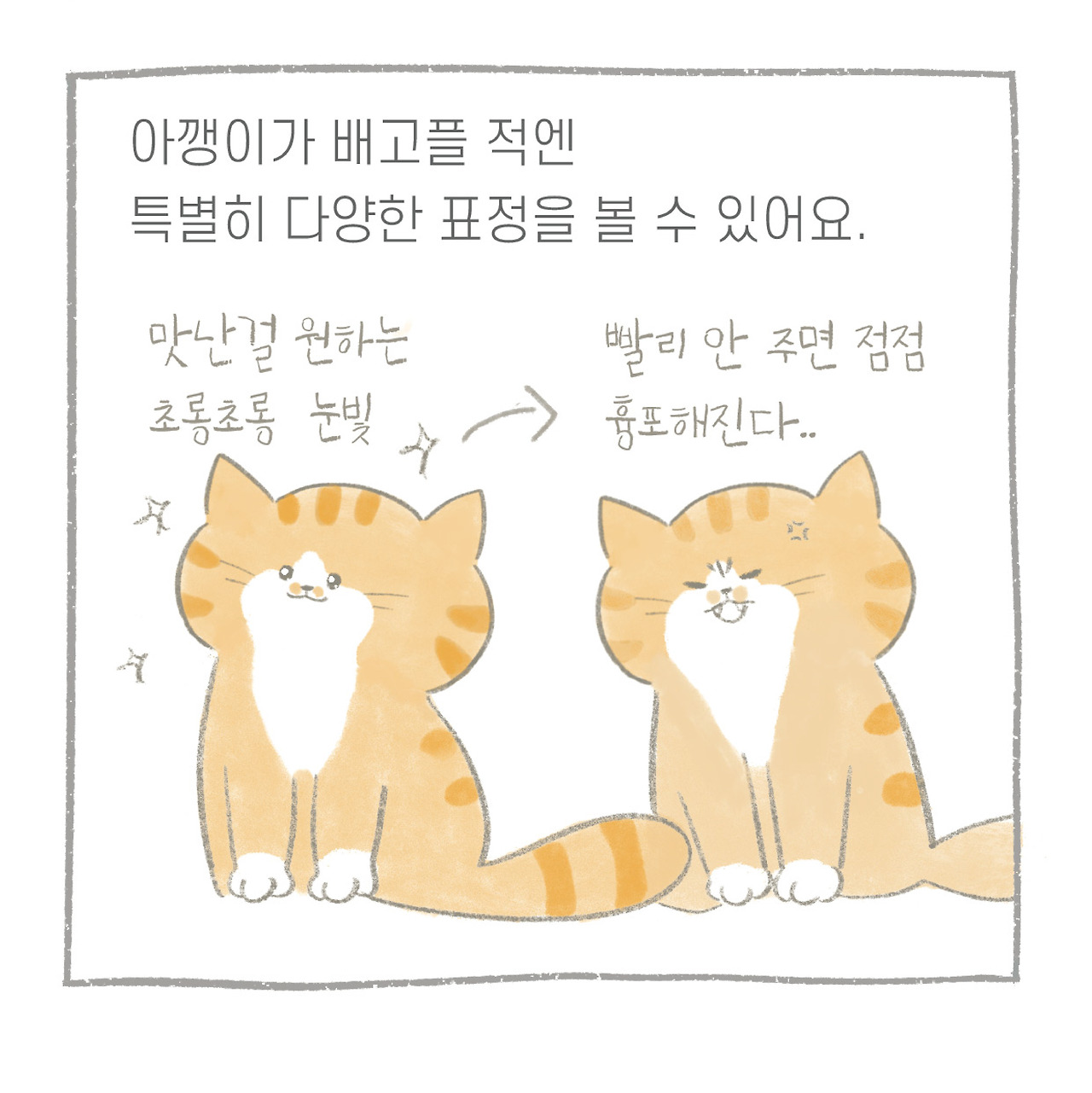입맛 다시는 고양이 만날툰