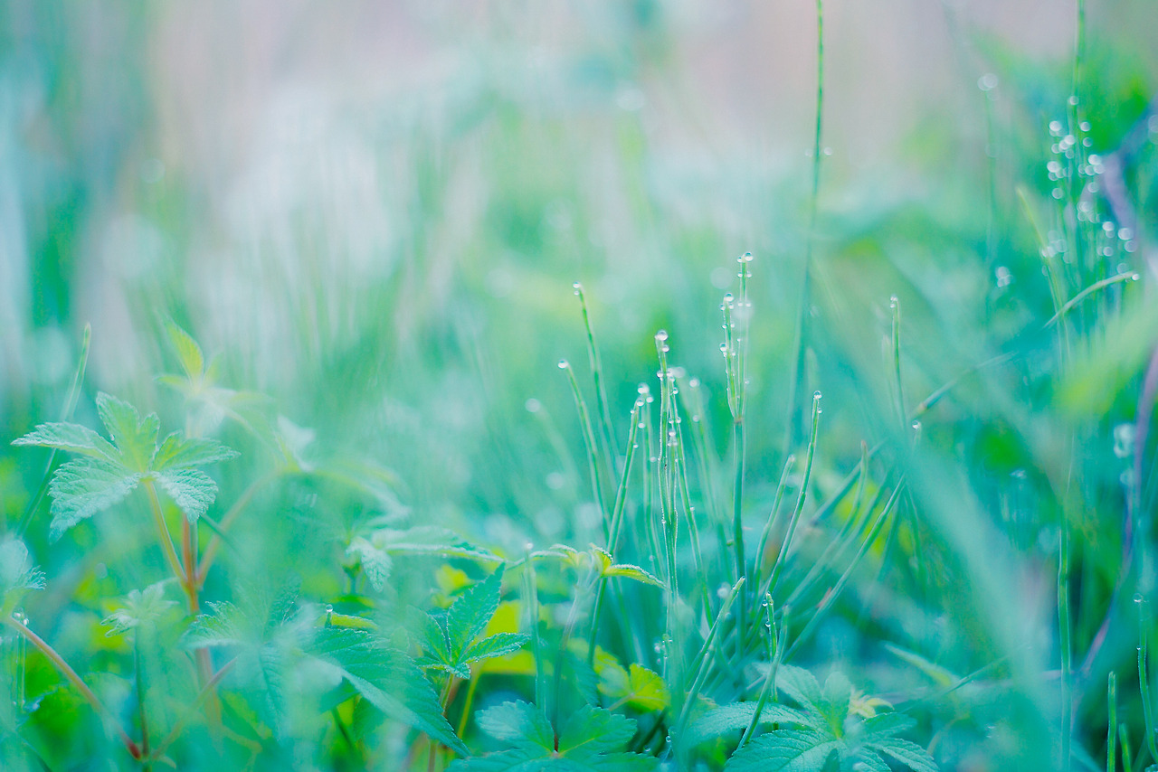 08화 꿈에 한 발짝, 다시 다가서다
