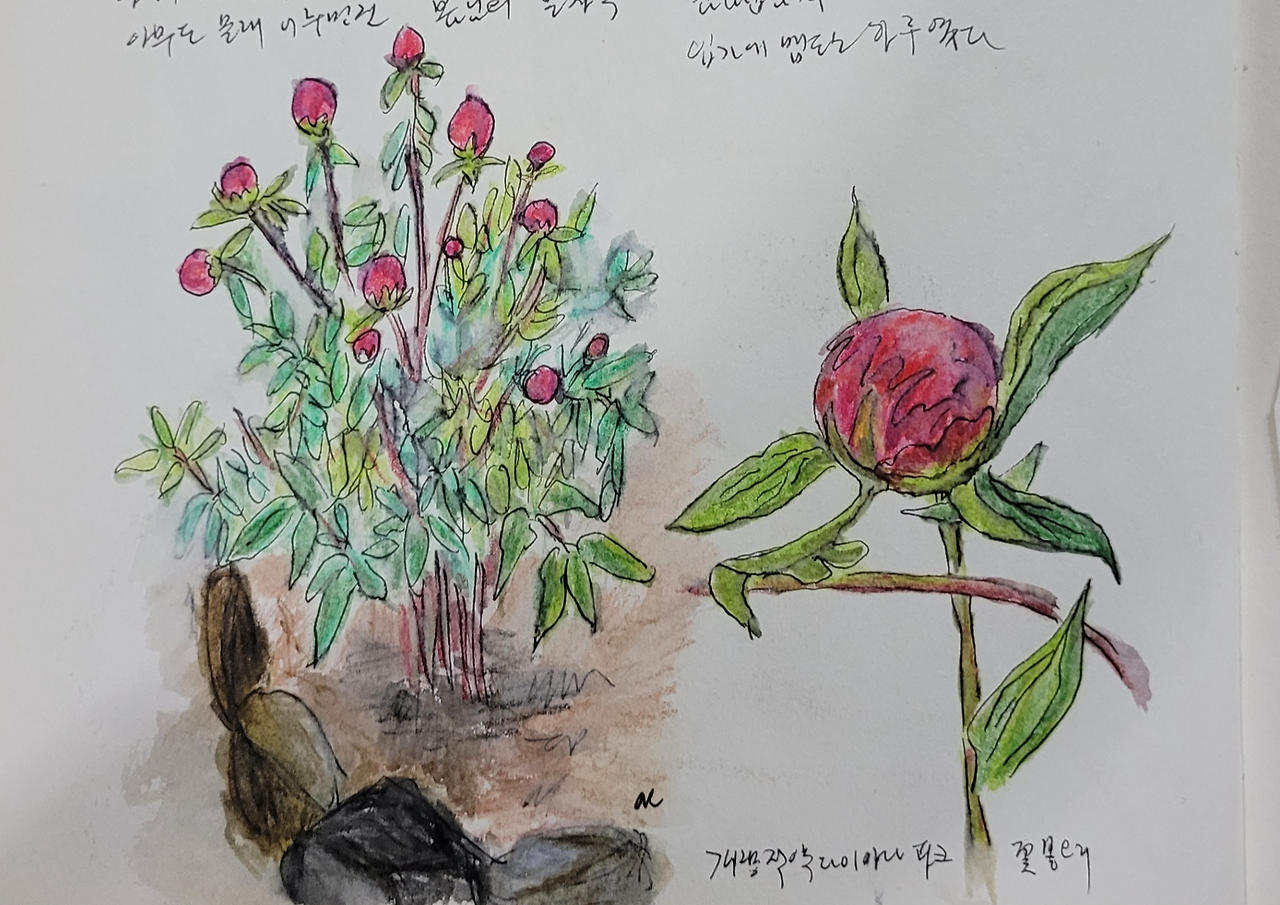 정원 가꾸기 마음 가꾸기 그림일기 52화