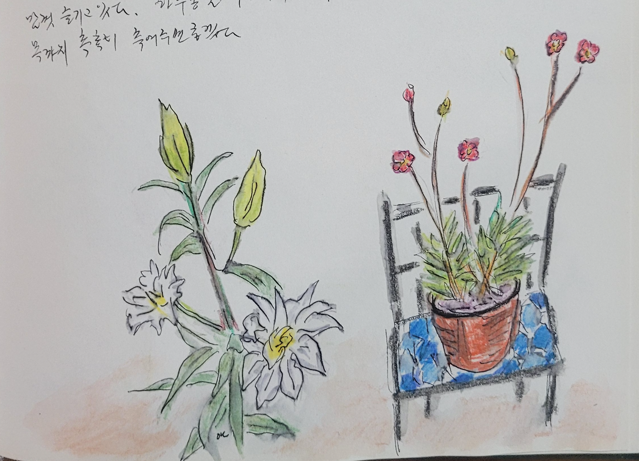 정원 가꾸기 마음 가꾸기 그림일기 88화