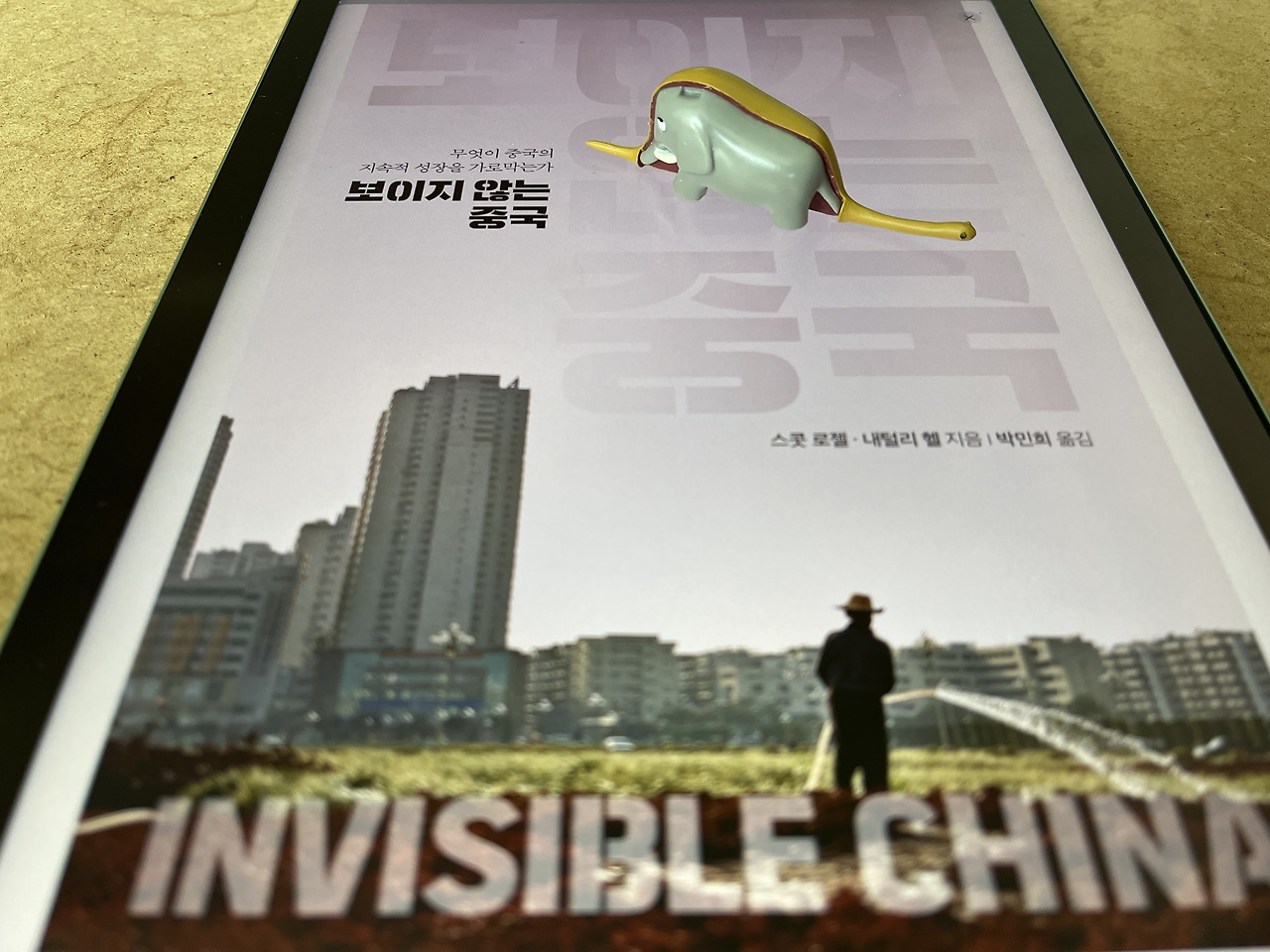 보이지 않는 중국