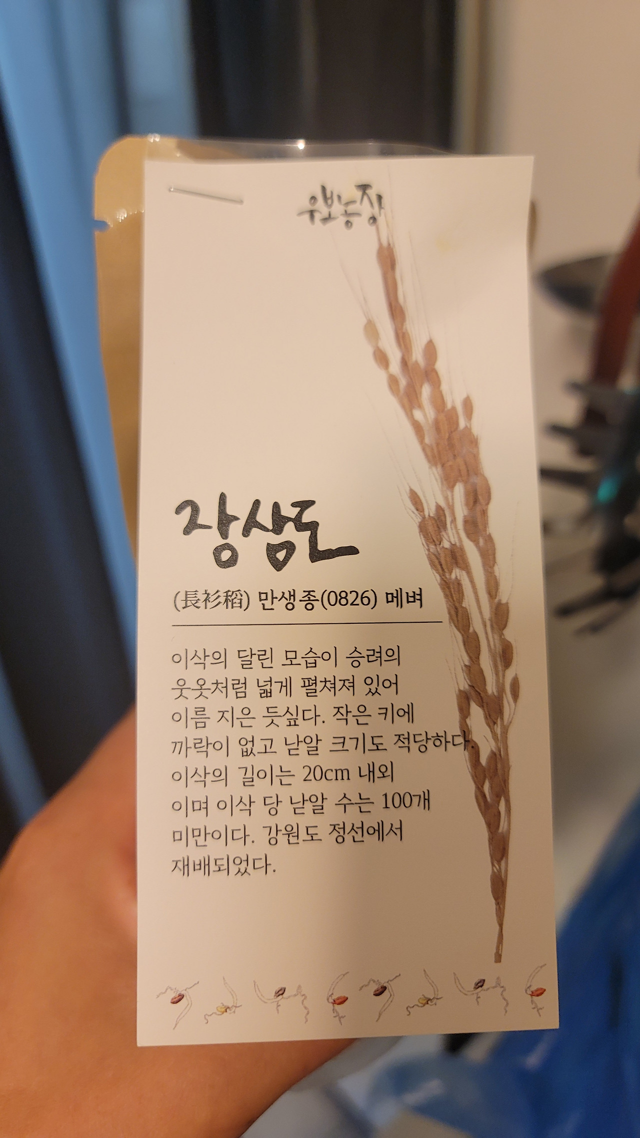 6. 고소하고 단단한, 최고 누룽지쌀 장삼도