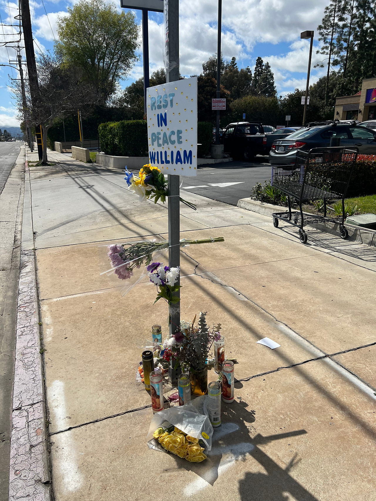 굿 바이, 윌리엄