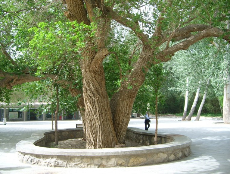 너에게 나를 보낸다 10