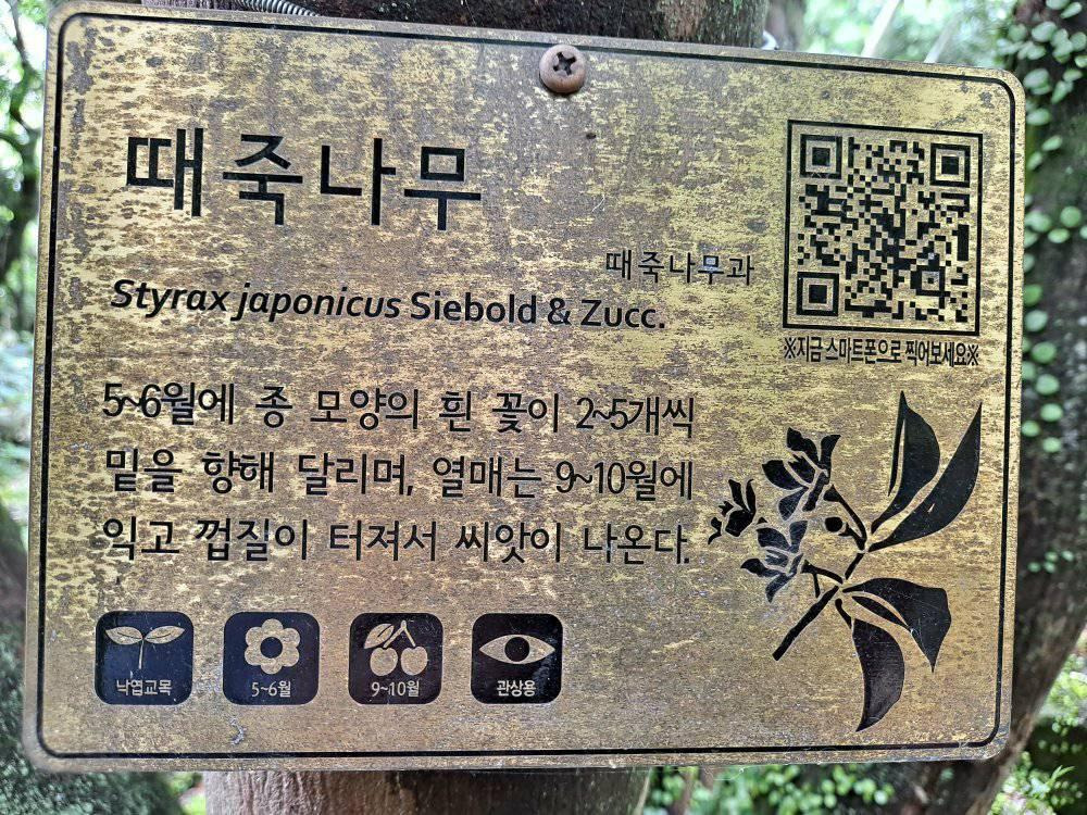 때죽나무는 떼로 종을 울린다
