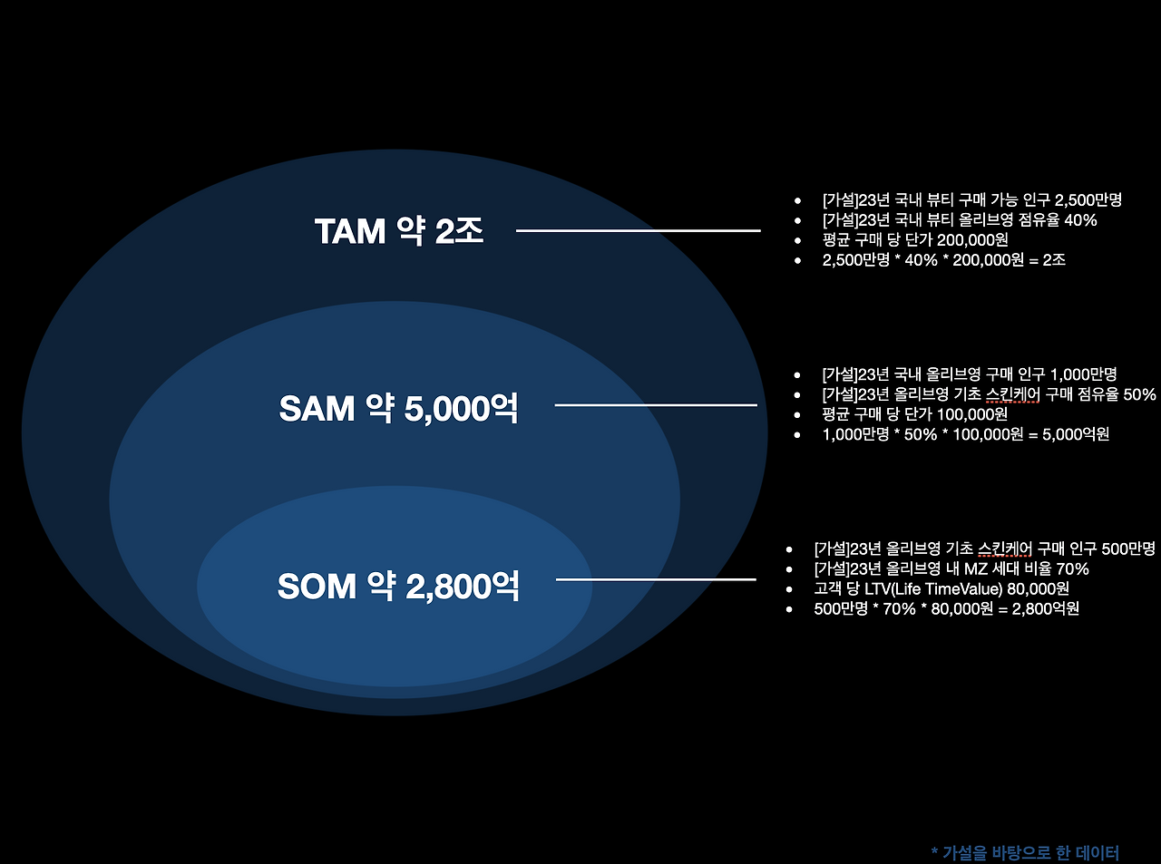 경쟁력있는 시장조사 법, TAM.SAM.SOM