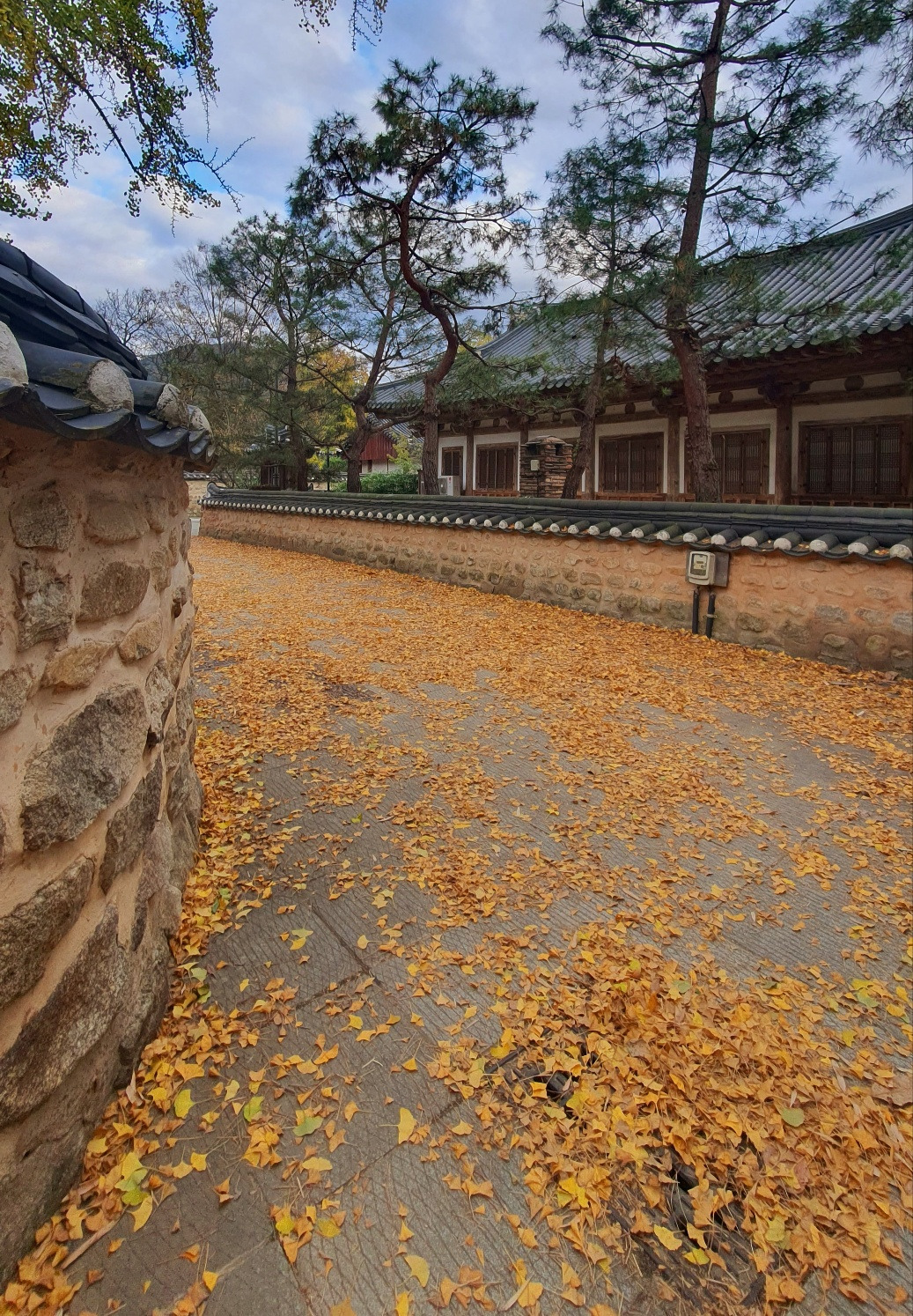 다시봄날편지210