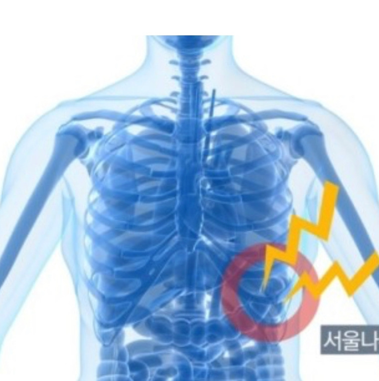 임신 중기의 기록, 치골통과 갈비뼈통증