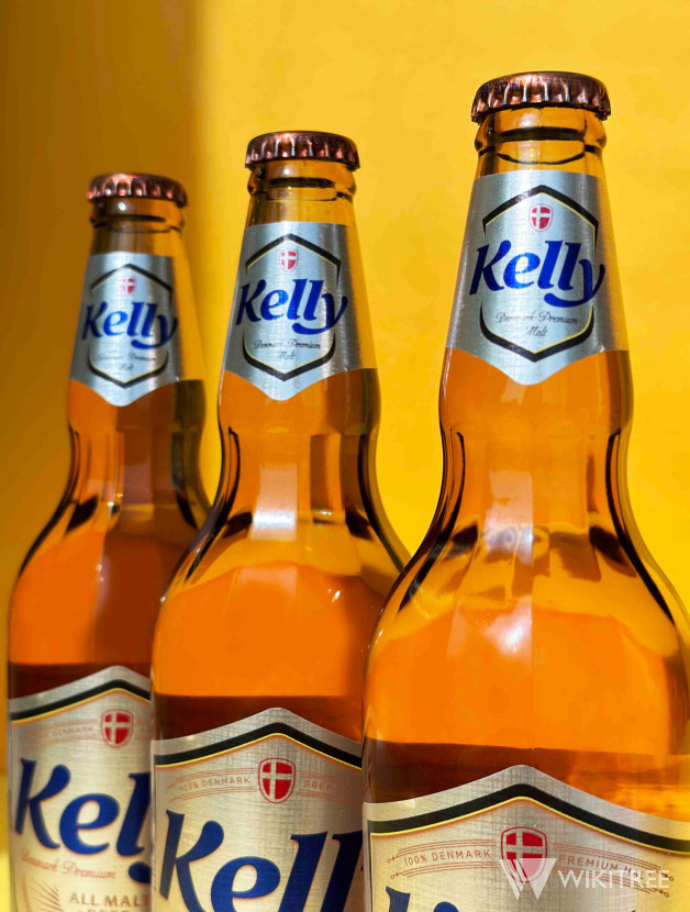 “손석구 맥주?” 핫한 '켈리' 직접 마셔보니(후기)