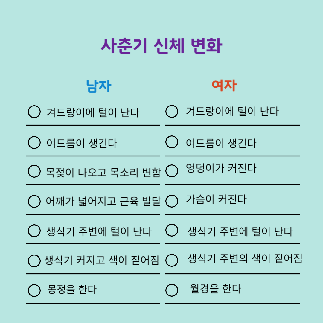사춘기 성교육