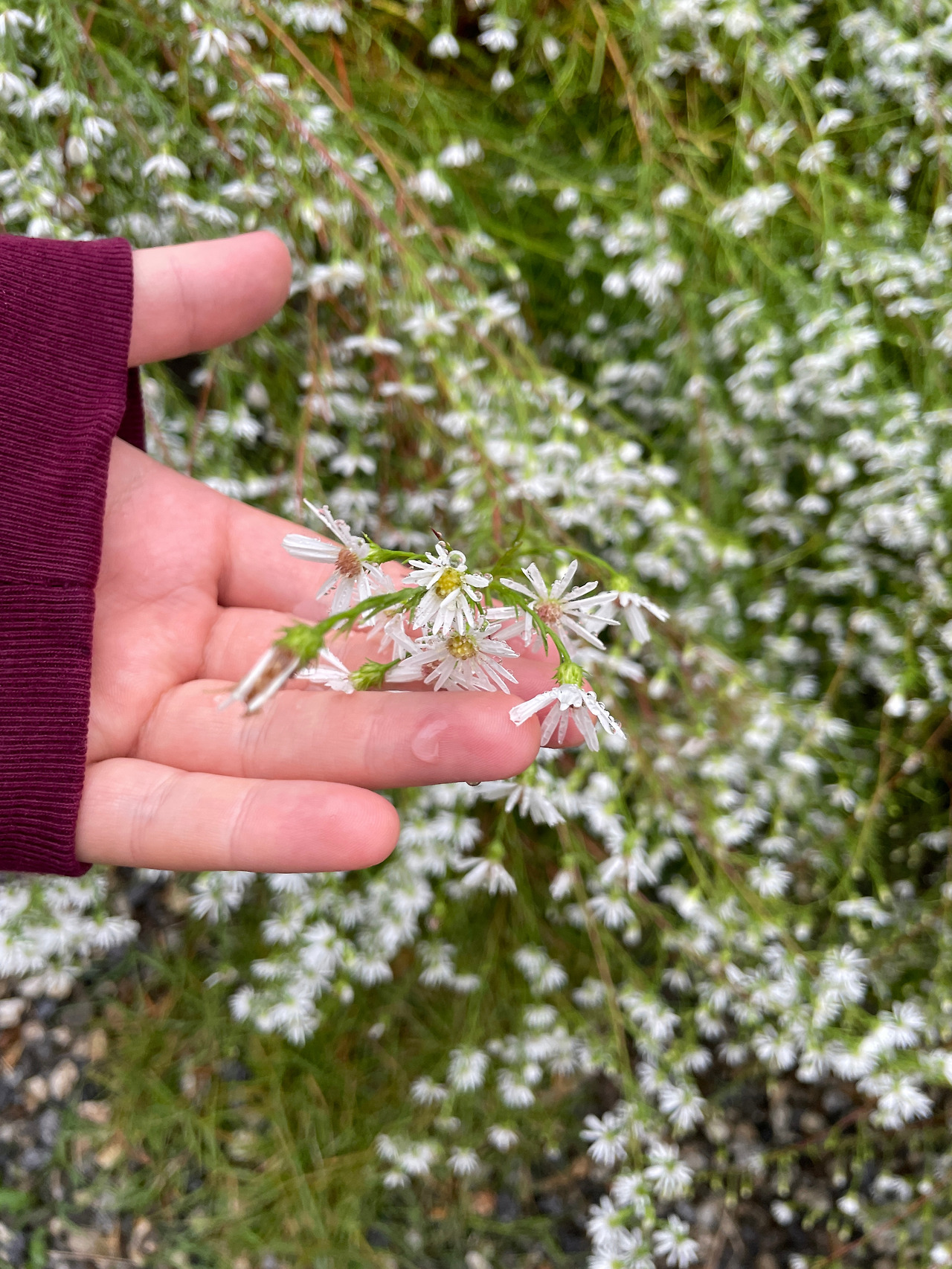 감사할 수 있는 이유는