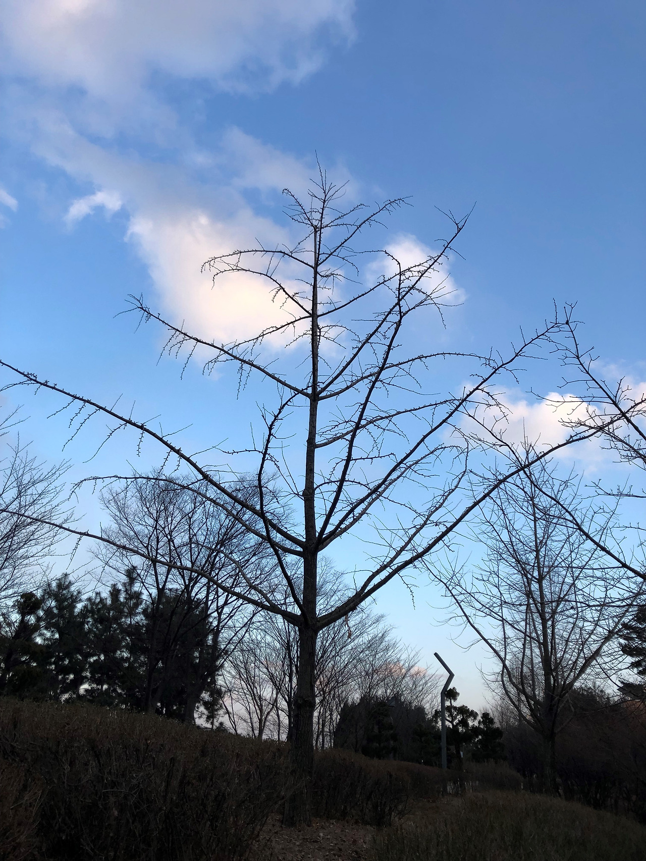 마술사와 오케스트라 (28/최종회)