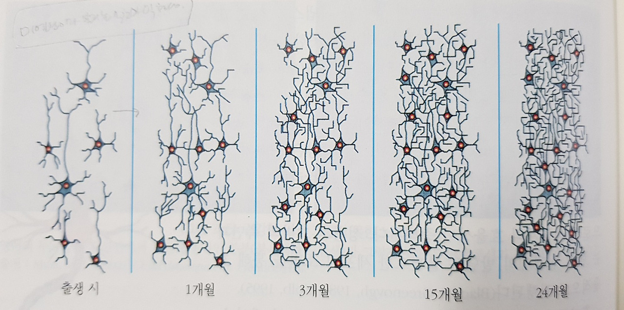 우리 아이는 어떤 길을 가고 있을까요