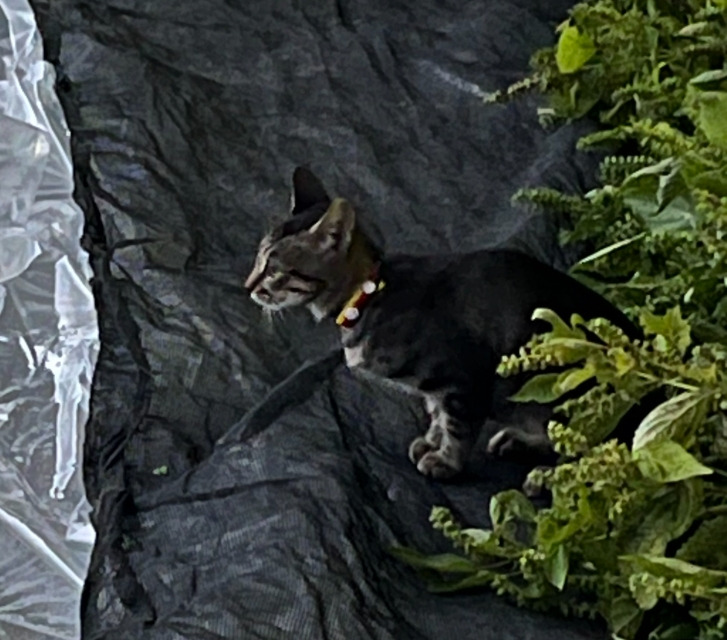 시골집에서 일주일 살림