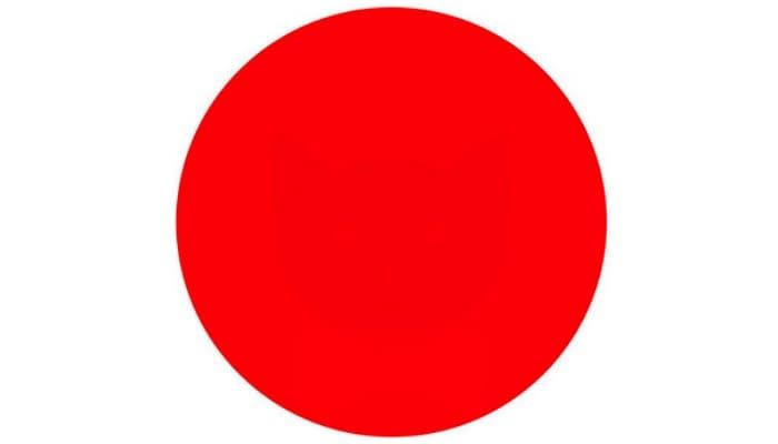 빨간색으로 채워진 동그라미에 고양이가 보이시나요?