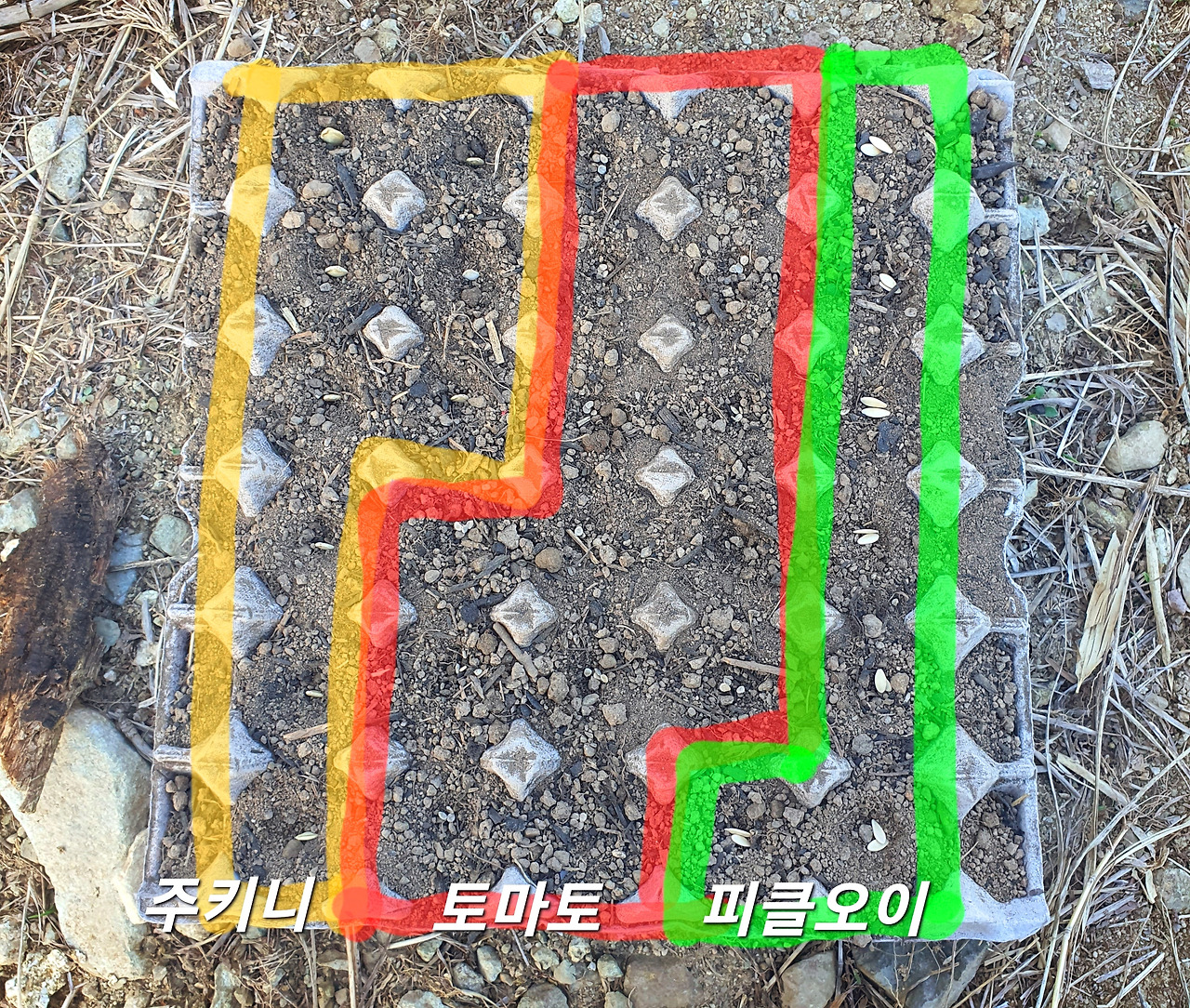 4월에 일군 우리 밭 채소들