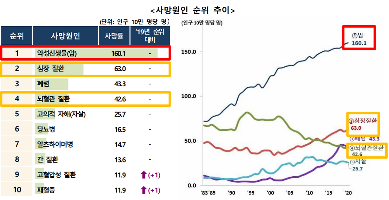 선생님 제가 왜 그 병에 걸린 걸까요