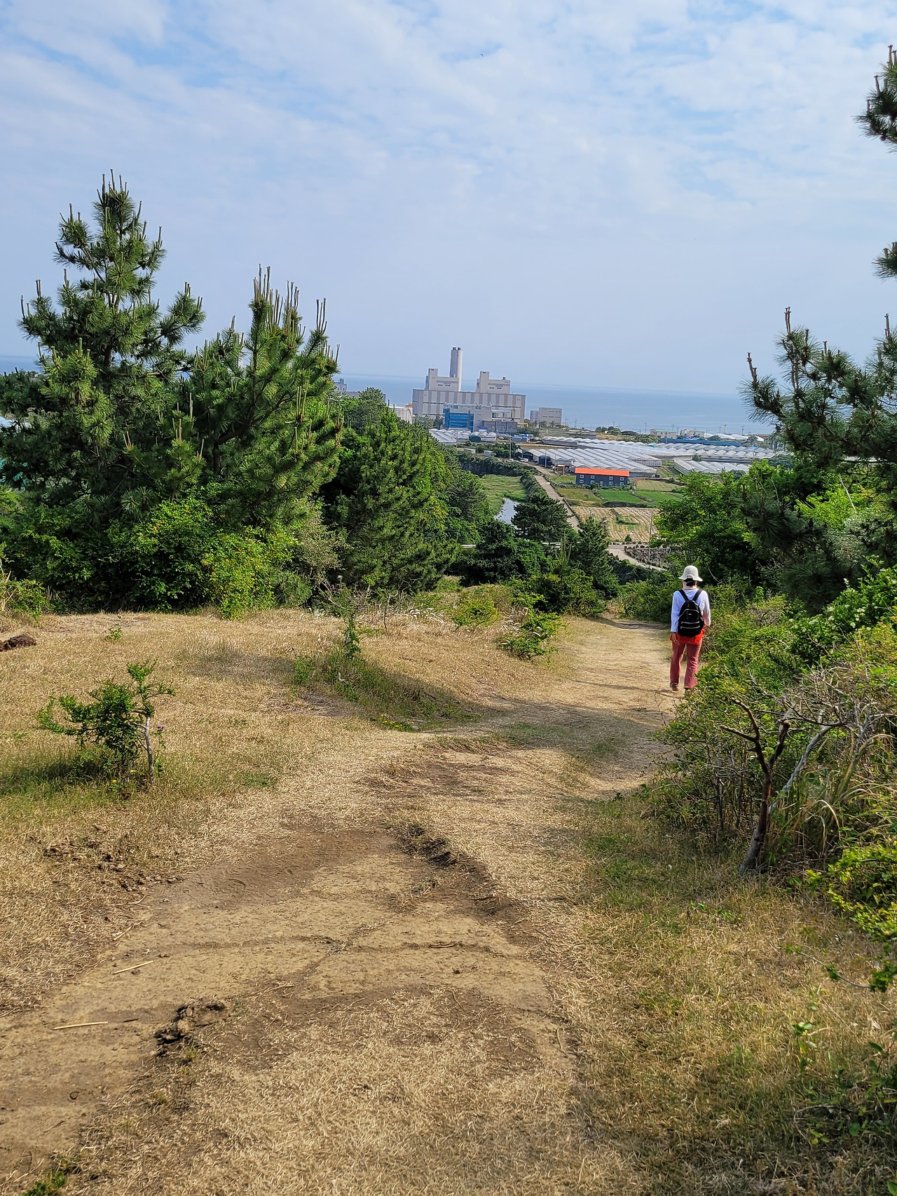 24화 난대 상록수림의 비경, 안덕계곡