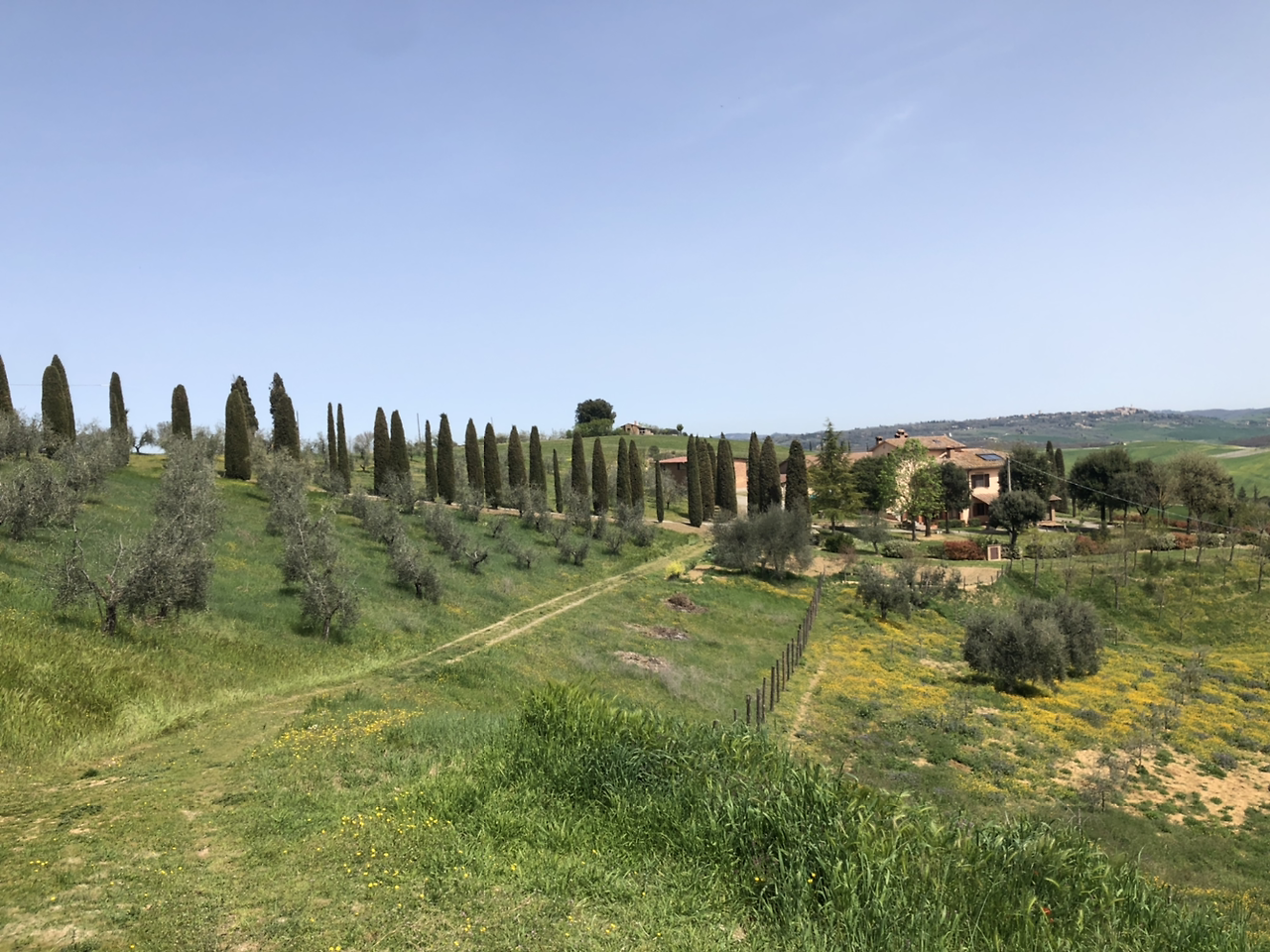 17화 이태리 토스카나#3: 발도르차 평원과 몬테풀치아노