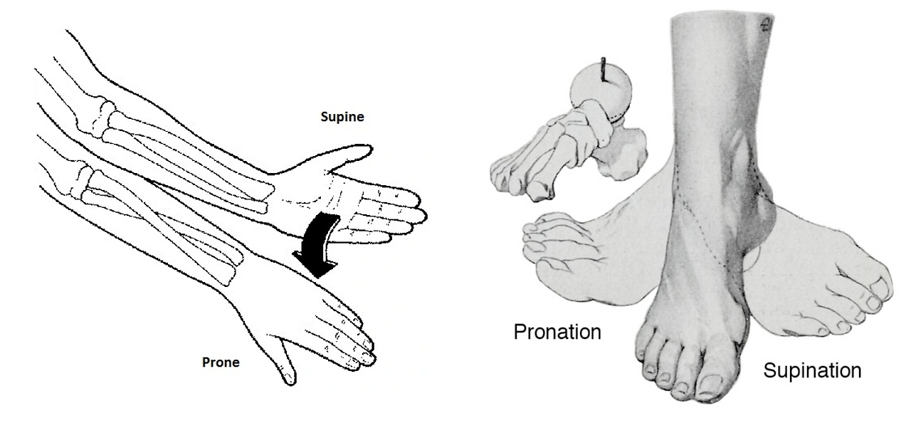 04화 운동을 설명하는 용어들