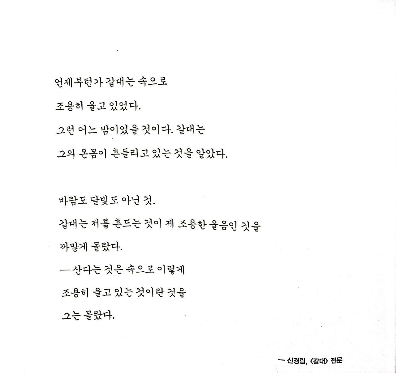 때로는 뒷걸음질로 걸었다