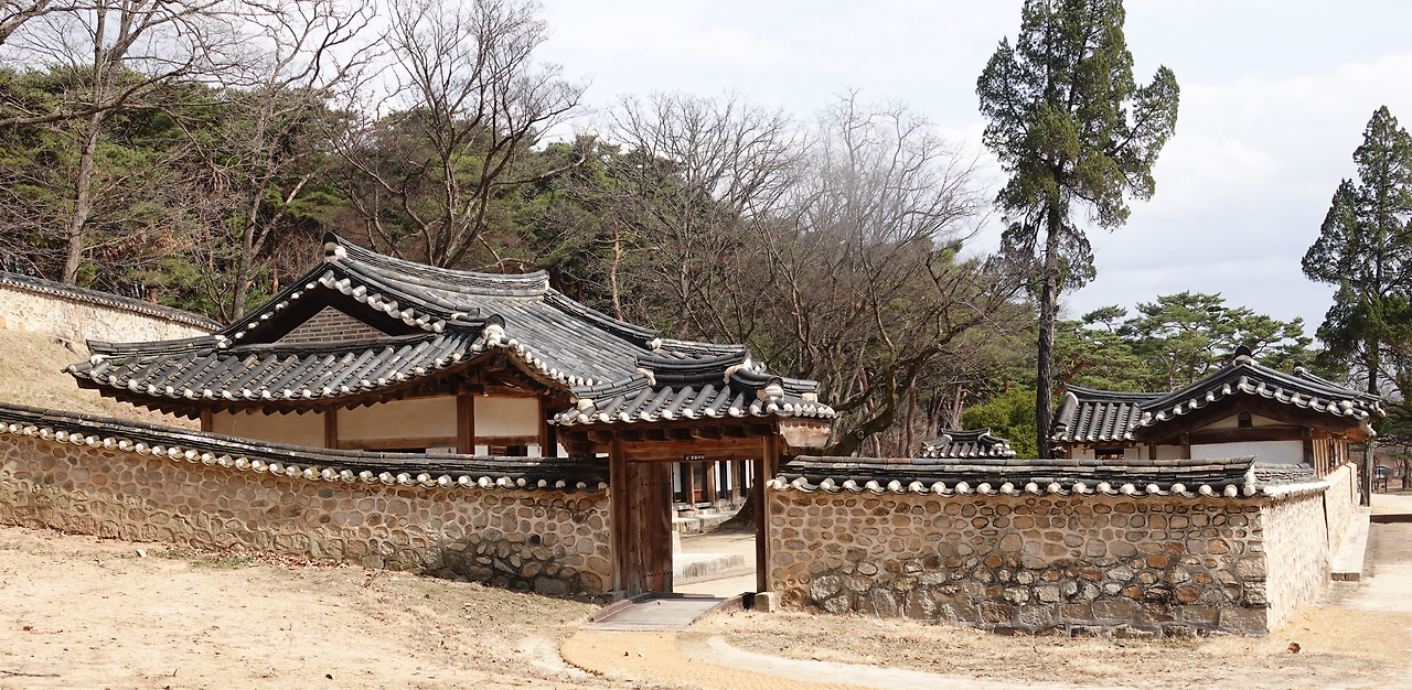 세종대왕 영릉에서 소나무향에 푹 빠지다