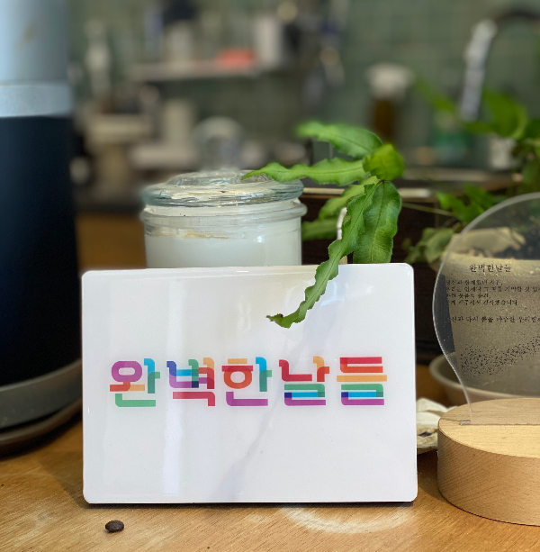 속초, 고성의 서점들