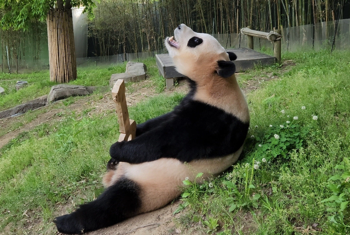 08화 '전뚠시'_나는 낭만 뚠빵이