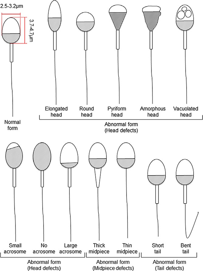 01화 신혼인 친구의 고민