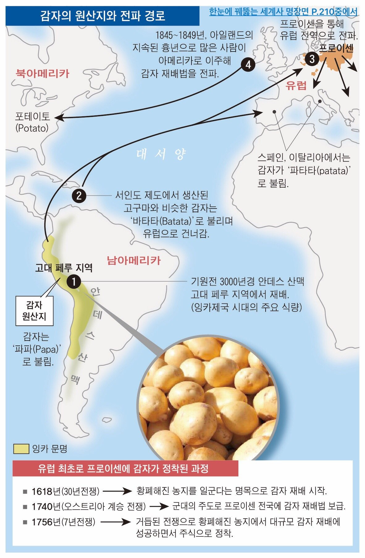 감자와 아일랜드 대기근