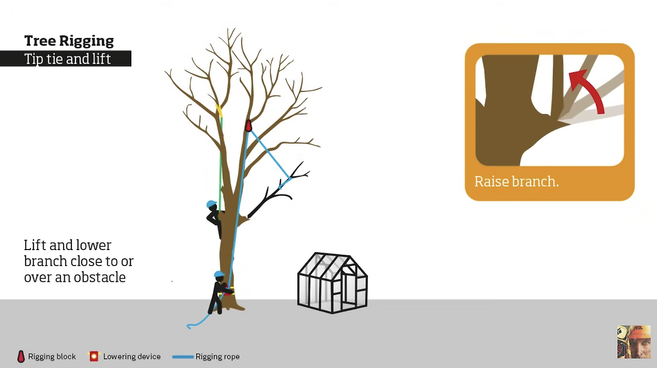 아보리스트(Arborist)가 된다는 건(8)