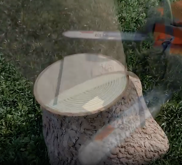 13화 과하게 기울어진 나무 제거하는 방법