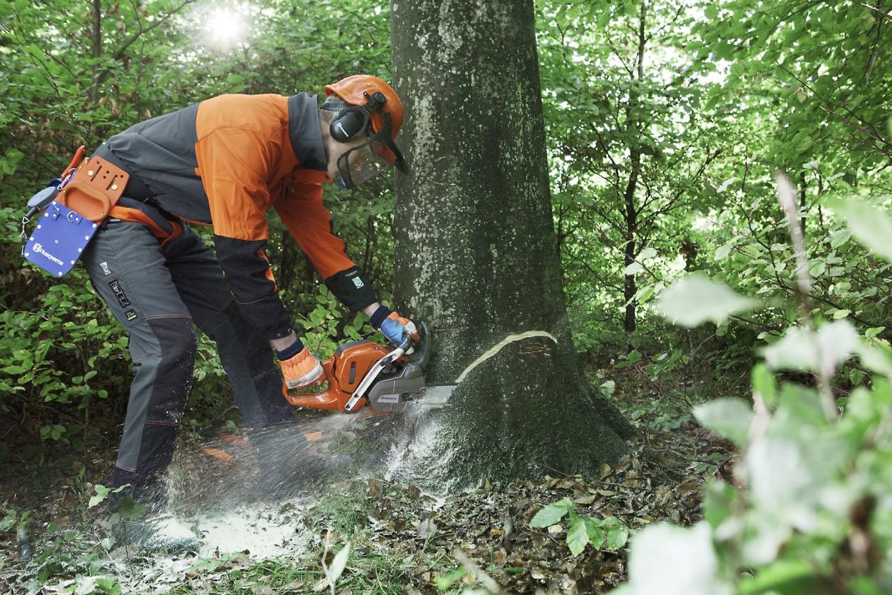 10화 벌도 방향을 결정하는 노치(A notch) - 수구