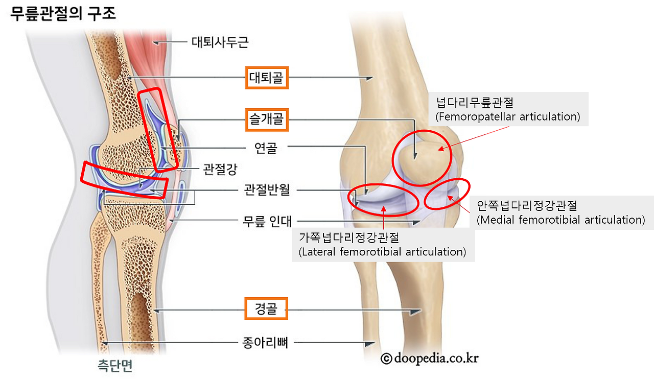 13 턴아웃과 무릎2
