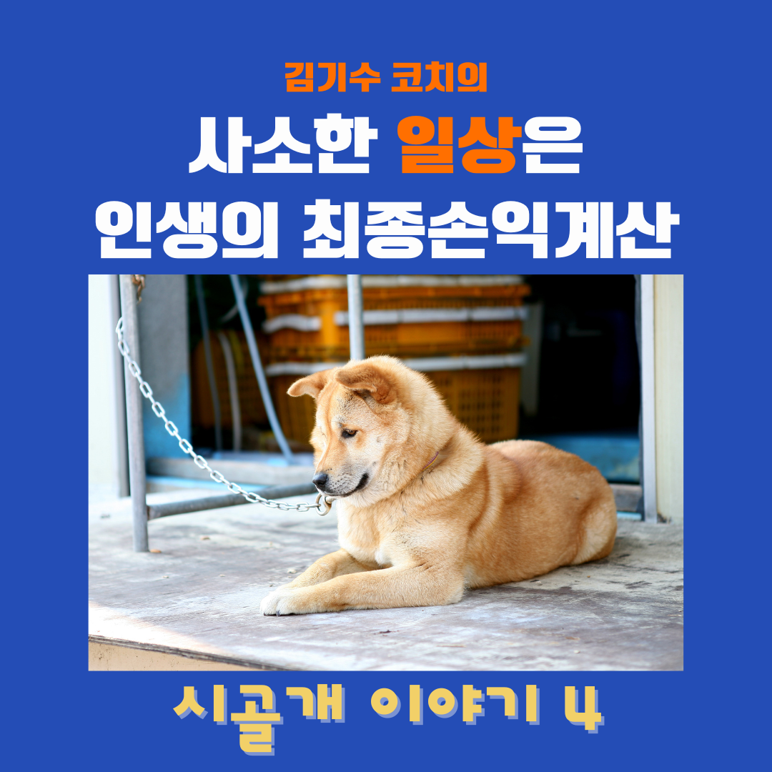 13화 작은 것에 감사할 이유