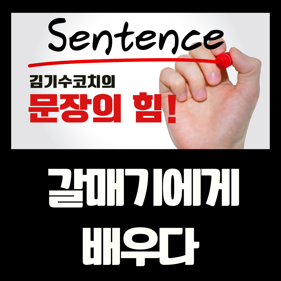 16화 갈매기에게 배우다