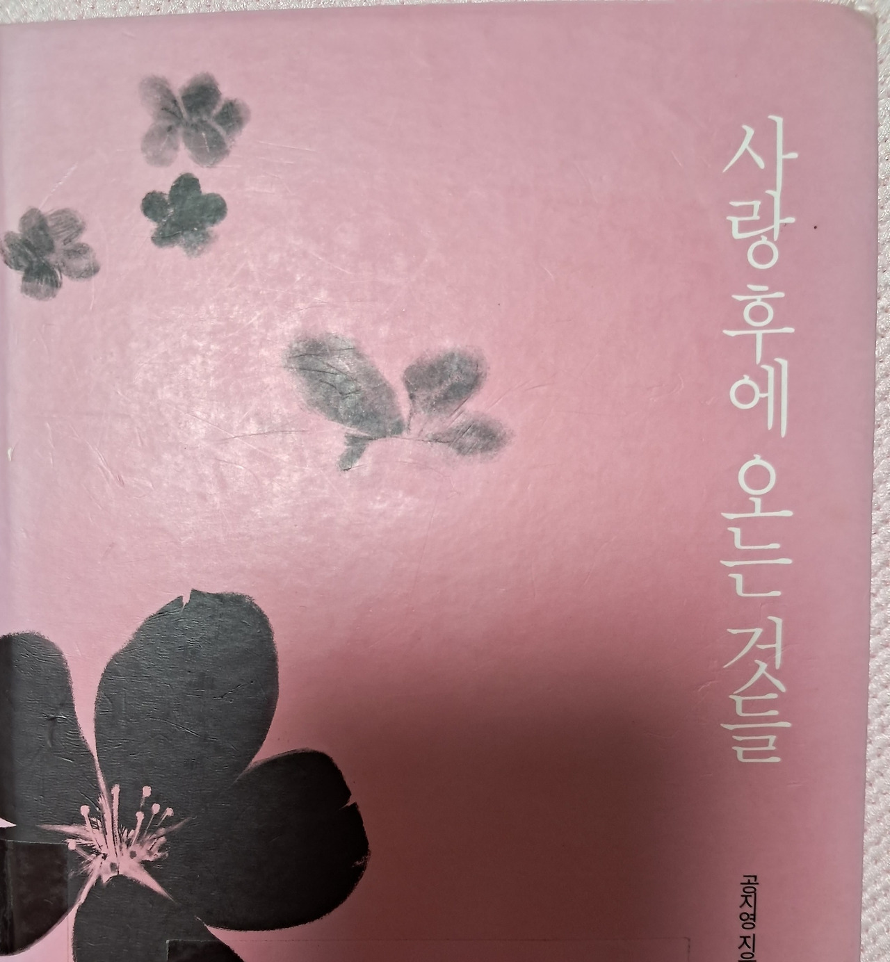 사랑 후에 오는 것들