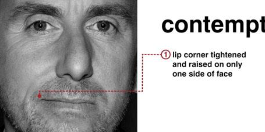 단상 : 조롱과 경멸의 위험성