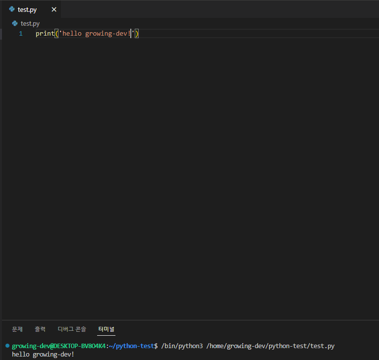 개발 환경 Vs Code에서 파이썬python 개발 환경 설정하기 — 성장하는 개발자 블로그