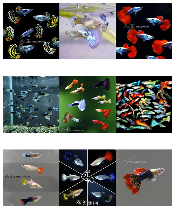 너무 이쁜 구피 물고기 모음 가격순 예쁜 구피 열대어 정리표 인기 구피 추천 귀여운 구피 추천 좋은 구피 구피 키우기 구피 종류 보기 구피 생김새 예쁜 구피
