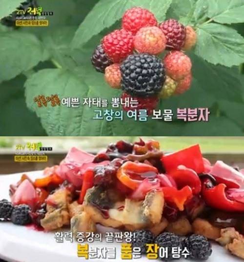 복분자의 효능손쉬운 복분자주 담그는 법