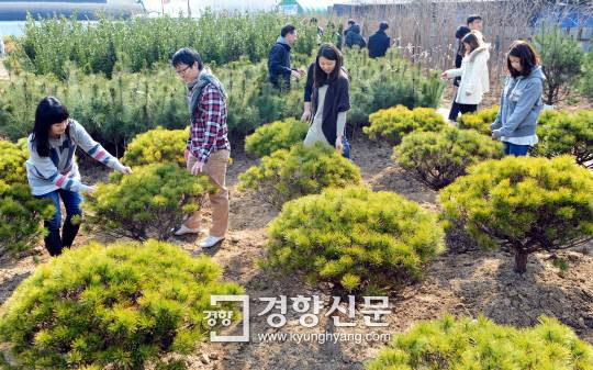 경향포토 봄에 심을 나무 둘러보는 시민들