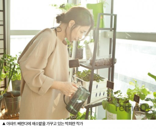 라메드 나만의 베란다채소밭 가꾸기