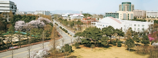 수원대 Ebs 문제 풀이로 수능·적성고사 동시 준비