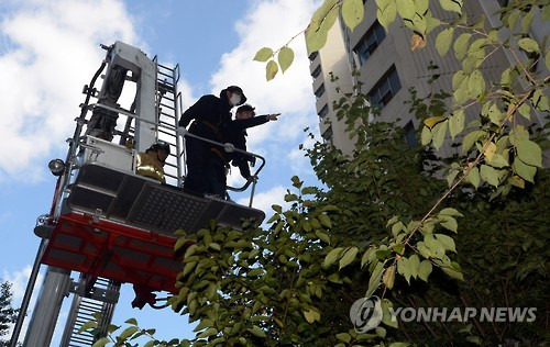 경찰 캣맘 사망사건 벽돌 투척지점 추정 단서 찾았다