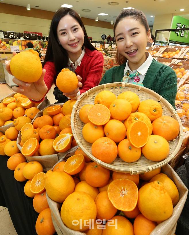 포토 달콤하고 과즙이 풍부한 제주산 만감류 3종 만나보세요