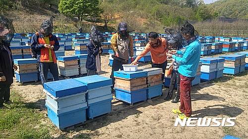 대전소식 대전시 도심내 시민체험양봉장 개장 등